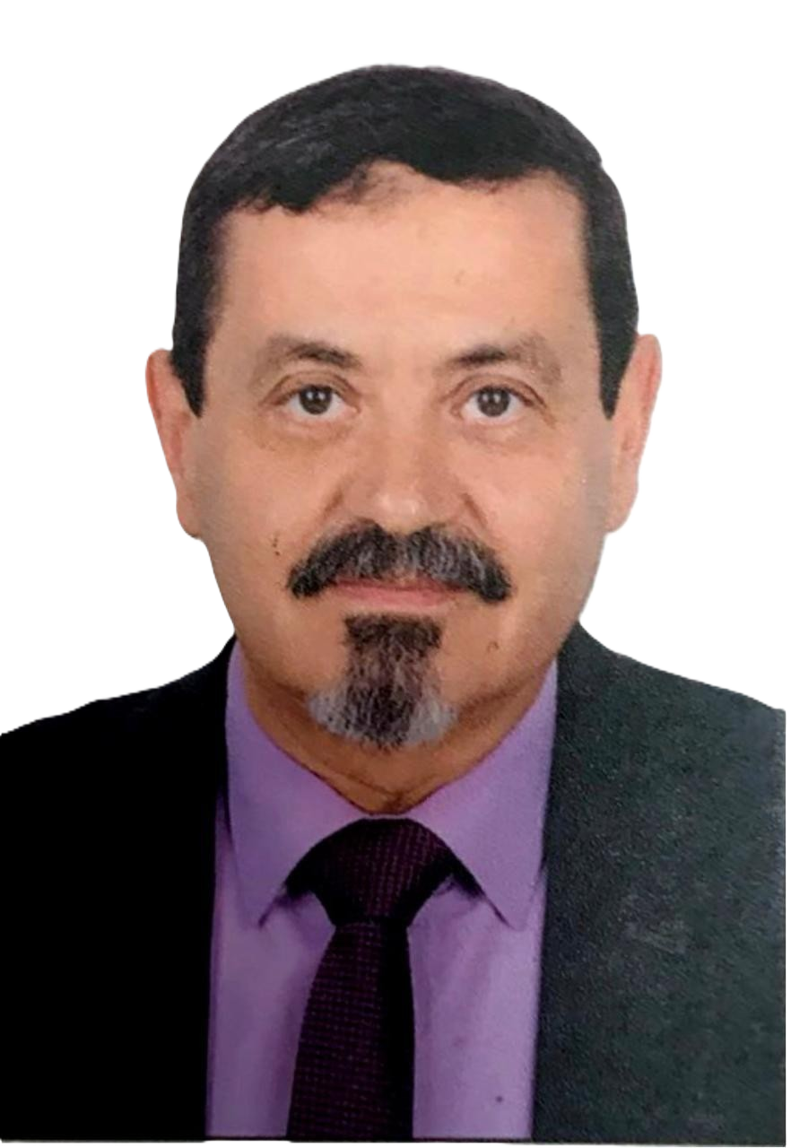 Samir EL Kareish - Expert Profile | Sustainability and Innovation Hub